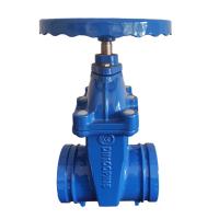 China Customized Ductile Iron Water Sluice Valve Cast Steel Gate Valve for sale