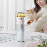 China Stainless Steel Vacuum Insulated Water Bottle Multiscene With Fruit Infuser for sale