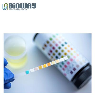 China Bioway Urine strips for visual ,Reagent Strips glucose, ketone body,bilirubin,ascorbic acid, protein, nitrite, pH value for sale