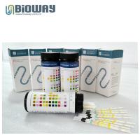 China Urinalysis Test Strips, 10,11,12,14 Parameters Ultra Urinaslysis Reagent Test Strip, Dipsticks, BW-10 Urine Strips for sale
