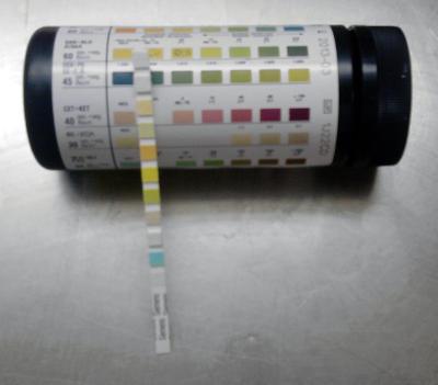 China Urinalysis Test Strips, Urine strips for full automatic urine analyzer, bilirubin, ascorbic acid, protein, nitrite, pH for sale