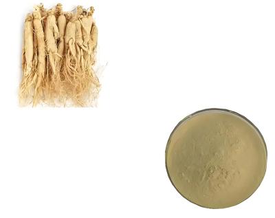 China Anti-Osteoporotic Ginsenoside Rg3 For Functional Food Ingredients for sale