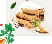 China High purity cosmetic grade ginsenoside CK anti-aging factor for sale
