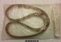 China NORITSU H016152 TIMING BELT 10T5-560 MINILAB for sale