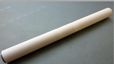 China Fuji Minilab Spare Part Roller A30A8084900 for PP720W SLP1000 334D966997 for sale