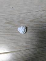 China Fuji Frontier 550 570 590 Minilab Spare Part Helical Gear 327D1060270 327D1060170 for sale