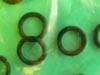 China Konica Minolta Photolab Spare Part 3410 90045A 341090045A for Minilab Printer for sale