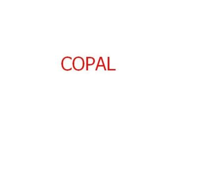 China Chemical Filter for Copal 6030/6550 Minilab 140x22x35mm Replacement Part for sale
