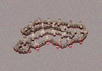 China Fujifilm 325G02398A 325G02398 Chain Replacement Part for Digital Minilab 350 370 355 375 390 for sale