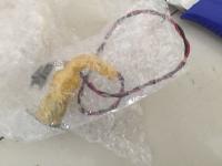 China 115C1060550 Detector D701 Fuji Frontier 550 Minilab Part Used Compatible with 812C1060693 for sale