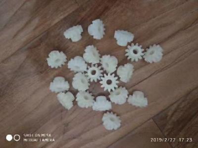 China Doli Minilab Spare Part Gear 12 Teeth Compatible with Noritsu Fuji Konica Minilab for sale