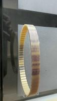 China Poli Laserlab Minilab Spare Part Belt 145 Dent for sale