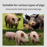 China Cheap Factory Price 201 Stainless Steel Livestock Piglet Fodder Trough Pig Feeder Feeding for Pig Farm Equipment for sale