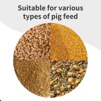 China Cheap Factory Price 201 Stainless Steel Livestock Piglet Fodder Trough Pig Feeder Feeding for Pig Farm Equipment for sale