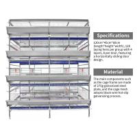 China H Type 20000 Capacity Battery Layer Egg Chicken Cage with Automatic Cleaning Belt and Egg Collection System and Feeding System for sale