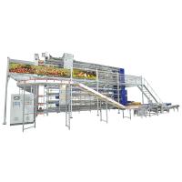 China H Type 20000 Capacity Battery Layer Egg Chicken Cage with Automatic Cleaning Belt and Egg Collection System and Feeding System for sale
