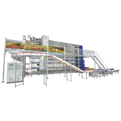 China H Type 20000 Capacity Battery Layer Egg Chicken Cage with Automatic Cleaning Belt and Egg Collection System and Feeding System for sale