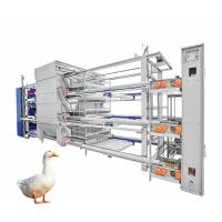 China Fully Automatic H-Type duck Cage with Steel Construction in New Condition for Poultry Farming for sale