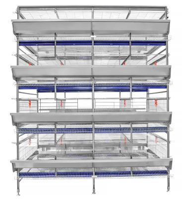 China High Efficiency Layers Chicken Hen Cages Multi Tier Automatic Cage Free Aviary Systems for Better Animal Welfare H Type for sale