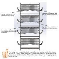 China OEM Modern Automatic Broiler Chicken Farming Equipment A Type Poultry Broiler Cage for sale