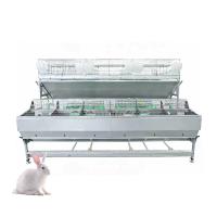 China New A-Type rabbit Cage Poultry Cage Manufacturing Hot Galvanized for sale