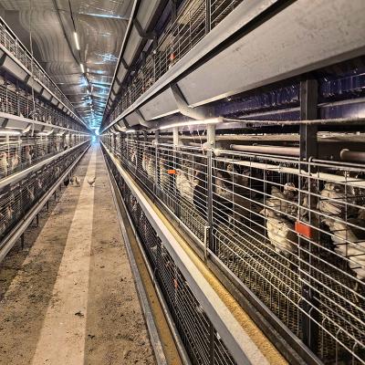 China Hot Sale 10000 Birds Chicken Coop Cages Broiler Battery Cage for Poultry Farm for sale