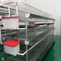 China Poultry Farm 4 Tiers 128 Birds Animal Battery Layer Chicken Cages for sale