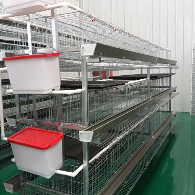 China Poultry Farm 4 Tiers 128 Birds Animal Battery Layer Chicken Cages for sale