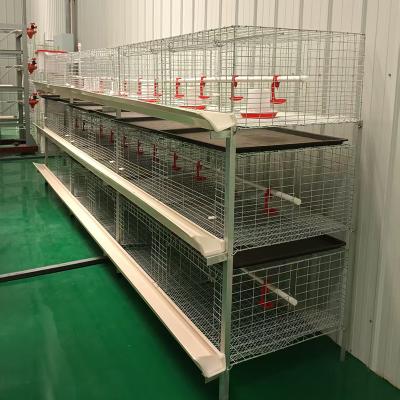 China Galvanized 120 160 Birds Poultry Farming 4 Tiers Chicken Breeding Animal Cage for Sale for sale