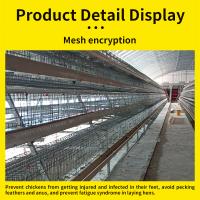 China Galvanized 120 160 Birds Poultry Farming 4 Tiers Chicken Breeding Animal Cage for Sale for sale