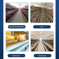 China Galvanized 120 160 Birds Poultry Farming 4 Tiers Chicken Breeding Animal Cage for Sale for sale