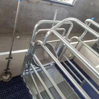 China Hot Selling Anti-corrosion High Quality Pig Cages Livestock Sow Farrowing Crate Pen for Pigs for sale