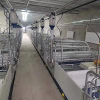 China Hot Selling Anti-corrosion High Quality Pig Cages Livestock Sow Farrowing Crate Pen for Pigs for sale