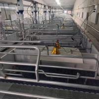 China Hot Selling Anti-corrosion High Quality Pig Cages Livestock Sow Farrowing Crate Pen for Pigs for sale