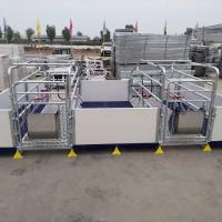 China Hot Selling Anti-corrosion High Quality Pig Cages Livestock Sow Farrowing Crate Pen for Pigs for sale