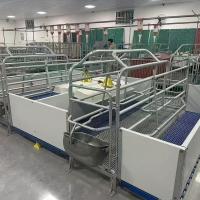 China Hot Selling Anti-corrosion High Quality Pig Cages Livestock Sow Farrowing Crate Pen for Pigs for sale