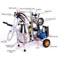 China Milking Machine for Goats Cows 24L Electric Milking Supplies Stainless Steel Bucket Stainless Steel Vacuum Pump Milker for Farm for sale