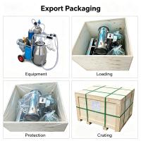 China Milking Machine for Goats Cows 24L Electric Milking Supplies Stainless Steel Bucket Stainless Steel Vacuum Pump Milker for Farm for sale