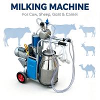 China Milking Machine for Goats Cows 24L Electric Milking Supplies Stainless Steel Bucket Stainless Steel Vacuum Pump Milker for Farm for sale