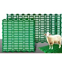 China High Quality Plastic Fecal Leakage Plate for Pigeon/Goat/Pig/Poultry/Fowl Lofts Floor Application Fecal Leakage Board for sale