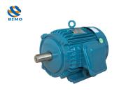 China NEMA Premium Efficiency Motor 50HP AC Three Phase 230/460V with IP55 Protection and 1.15 Service Factor for sale