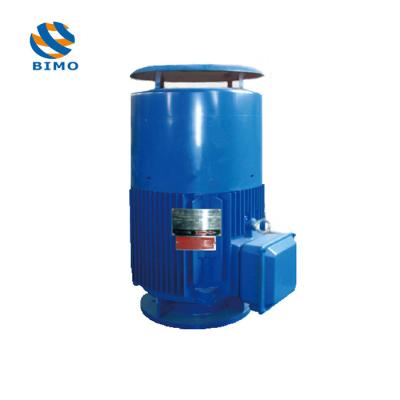 China NEMA Vertical Hollow Shaft Motor 75kW 1450rpm IP54 380V/660V 3-Phase VHS Pump Motor for sale