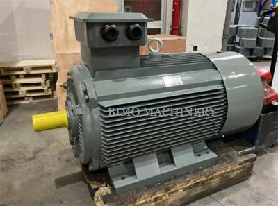 China 315kW GOST Three Phase AC Asynchronous Induction Electric Motor with B3 Mounting, 50/60Hz Frequency, IE1/IE2 Efficiency for sale