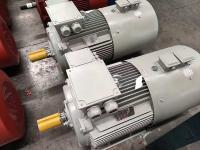 China IE4 38kW 8 Pole Asynchronous Squirrel Cage Motor 380V 50Hz 3 Phase 800 RPM for sale