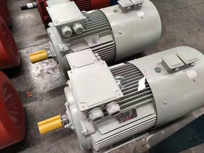 China IE4 38kW 8 Pole Asynchronous Squirrel Cage Motor 380V 50Hz 3 Phase 800 RPM for sale
