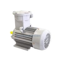 China ATEX Explosion Proof Motor 5.5kW 380V/660V Three Phase Electric Motor with IP55 Protection for sale