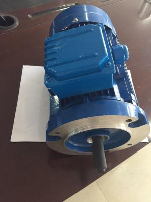 China 15kW 600V 1800rpm NEMA Premium TEFC AC Electric Motor with 1.15 Service Factor and IP55 Protection for sale