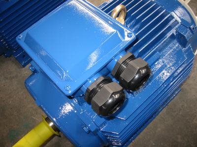 China IE2 IE3 IE4 4kW 5.5HP Three Phase Induction Electric Motor AC Asynchronous Motor 380V 50Hz for sale