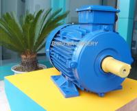 China Three Phase AC Electric Motor 1HP to 50HP IE3 Aluminum Body F Class Insulation for sale