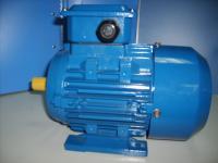 China YE2 IE2 10HP to 50HP Three Phase Induction Motor 380V 400V Speed Control AC Electric Motor for sale